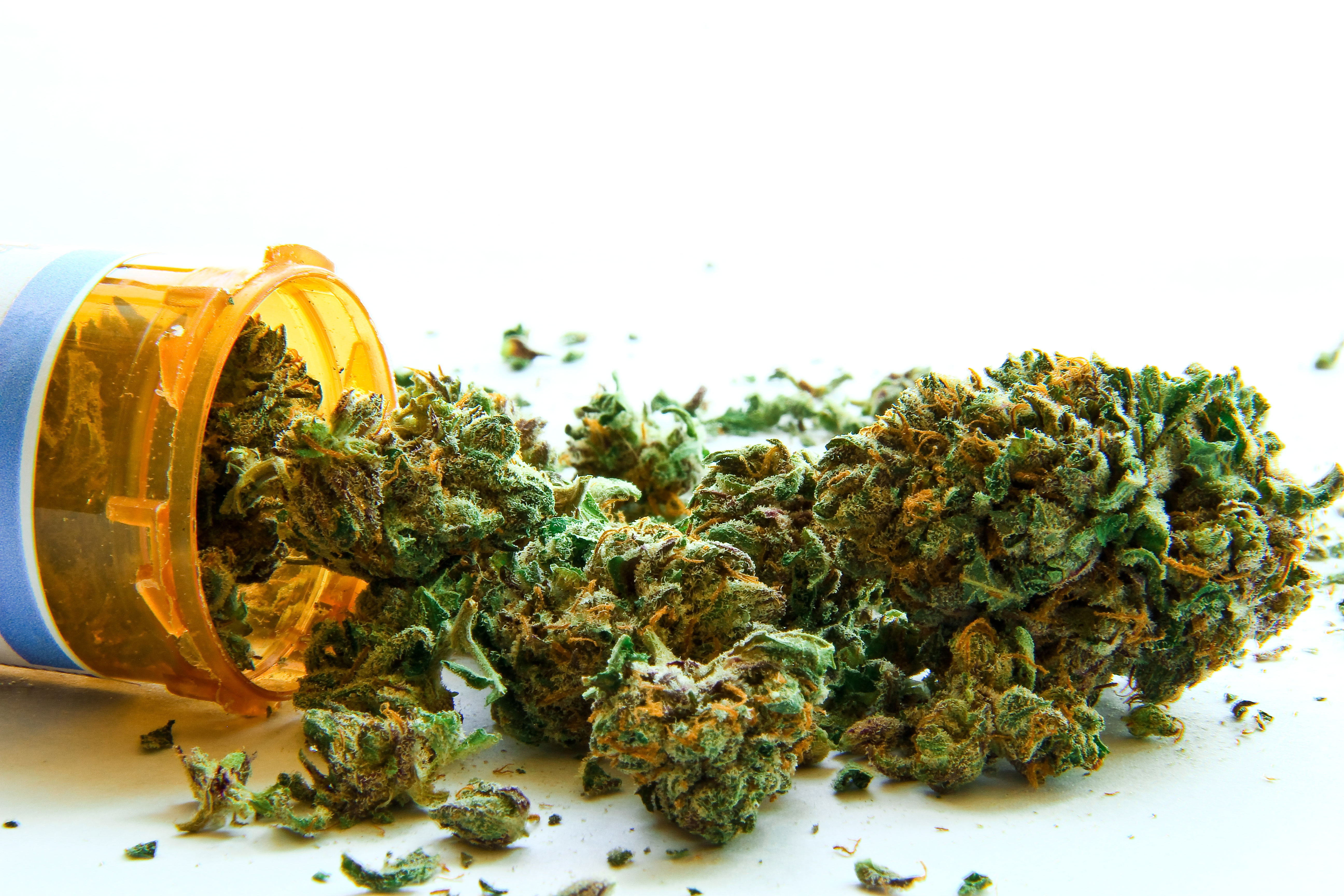 Deadline For Ballot Initiatives Approaching Kingman Daily Miner 