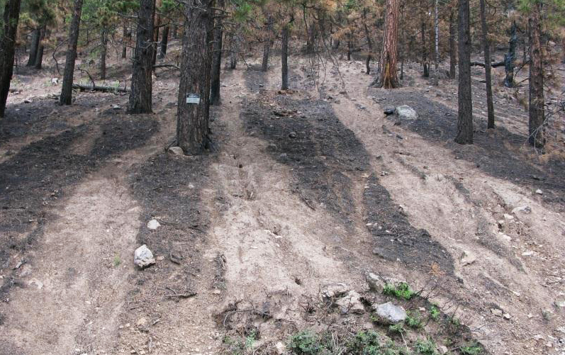 Part II of Fostering a fire-adapted forest: Erosion control crucial for ...