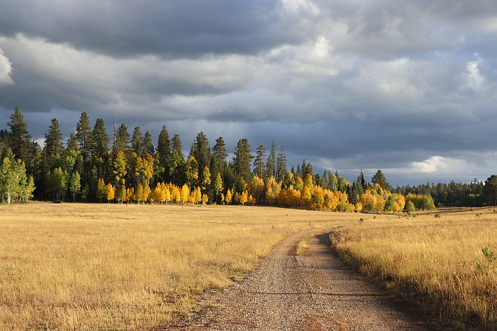 October is the perfect month for exploring the colors of the Kaibab ...