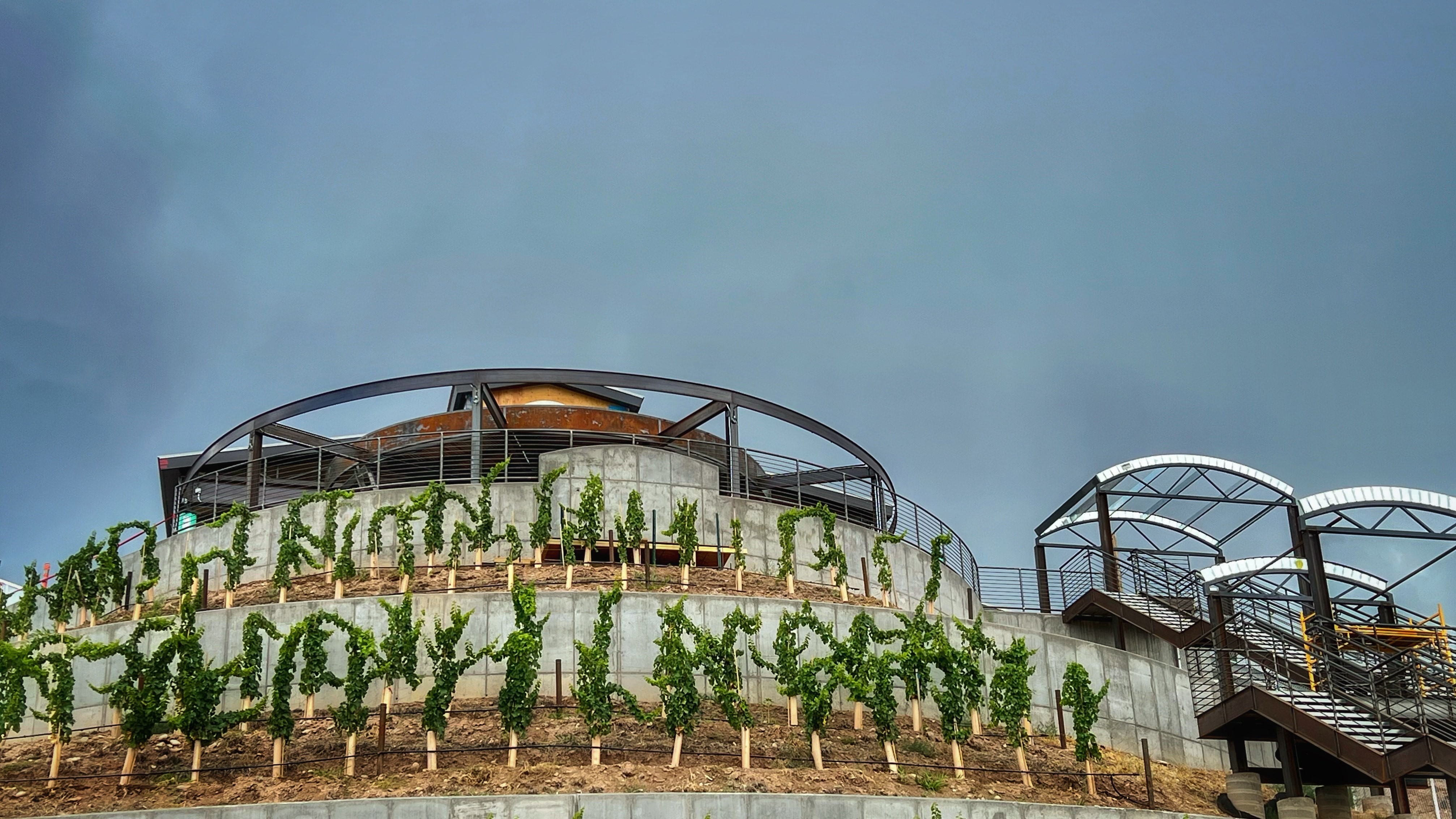 Team behind Merkin Vineyards, Caduceus Cellars announces opening of new ...